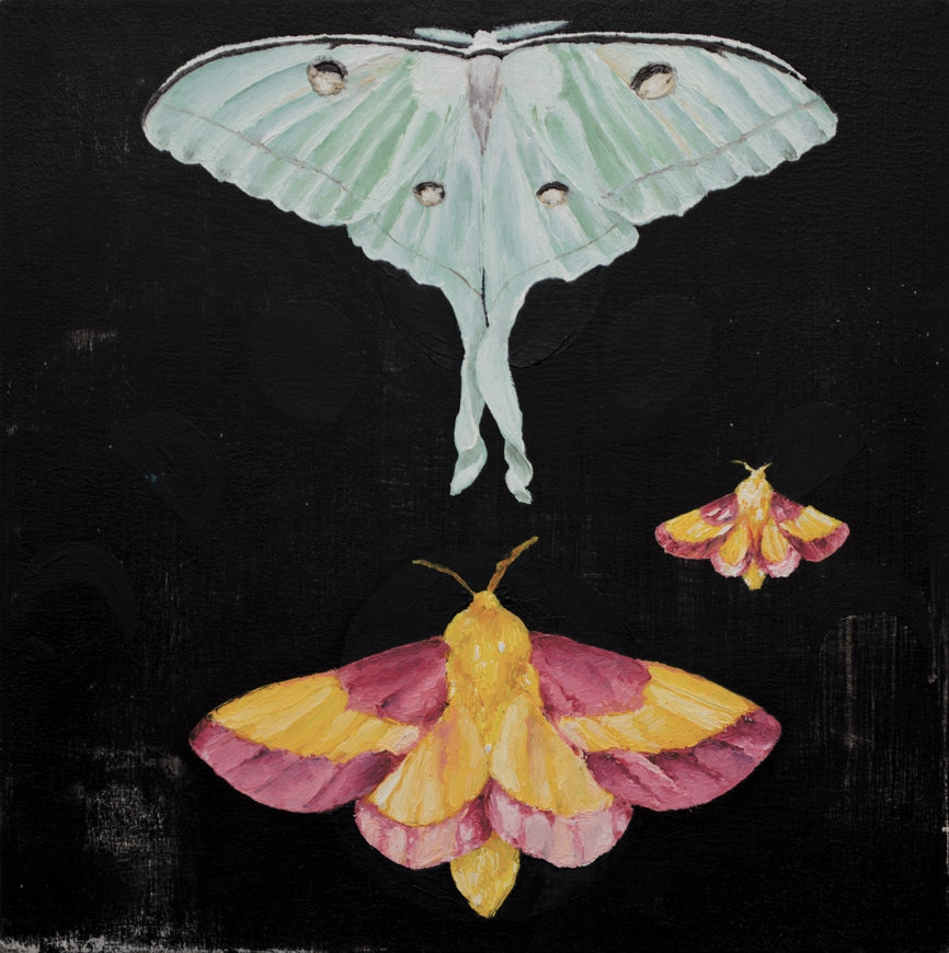 Artwork – Ruth Prowse School of Art