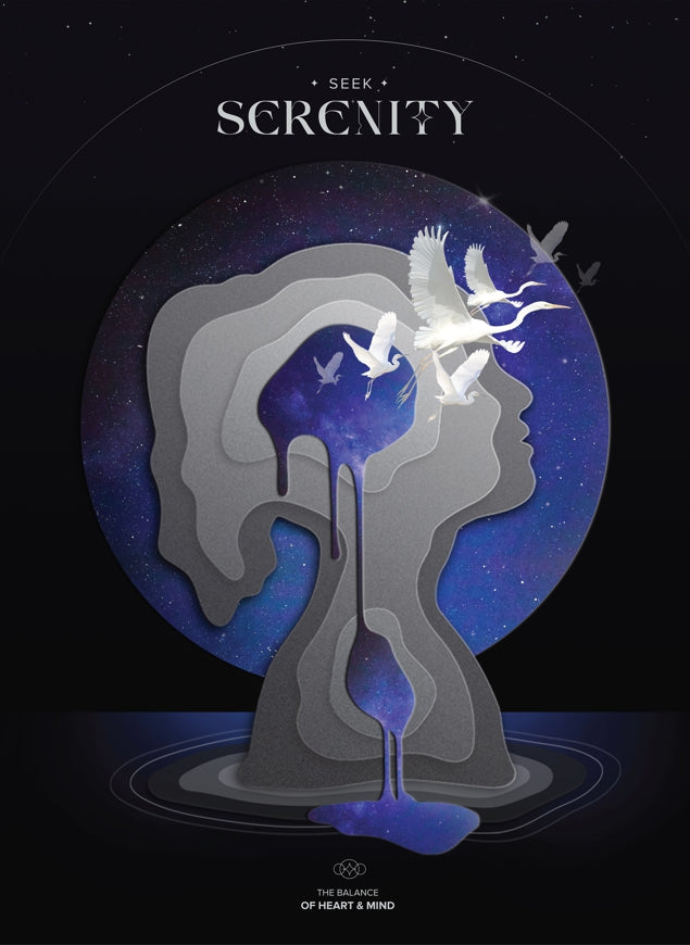 Graphic Design – Ruth Prowse School of Art