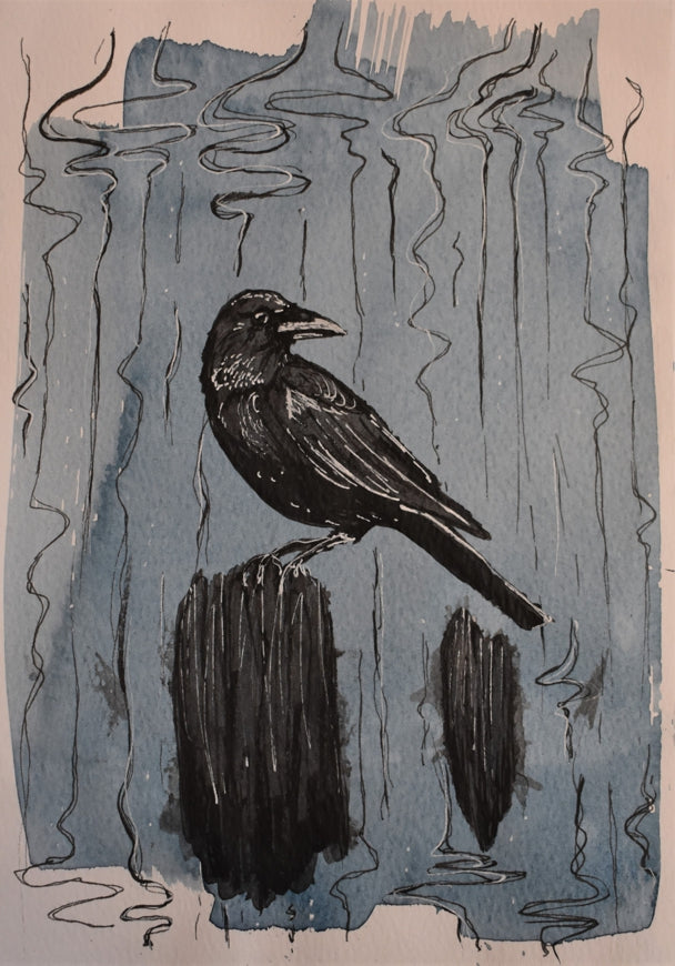 Crow – Ruth Prowse School of Art