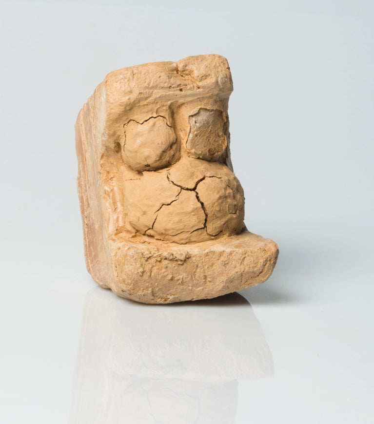 Sculpture – Ruth Prowse School of Art