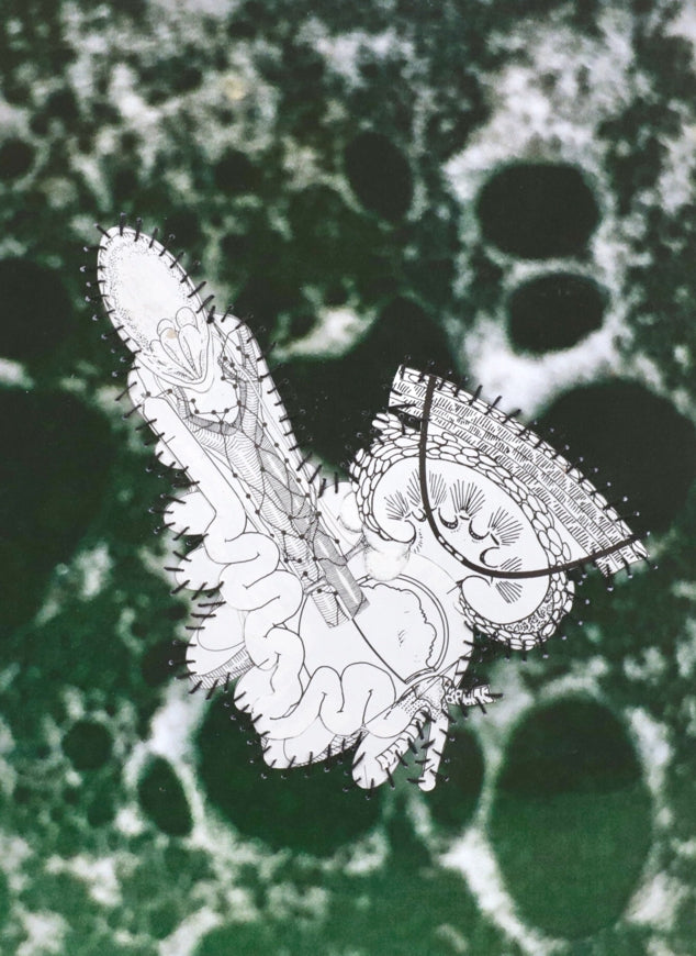 Parasite X (explode) – Ruth Prowse School of Art